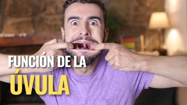 Descubre la importancia de la úvula: ¿Cuál es su función y por qué es ...